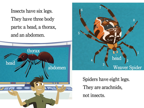 Wild Insects and Spiders! (Wild Kratts) by Chris Kratt, Martin Kratt ...