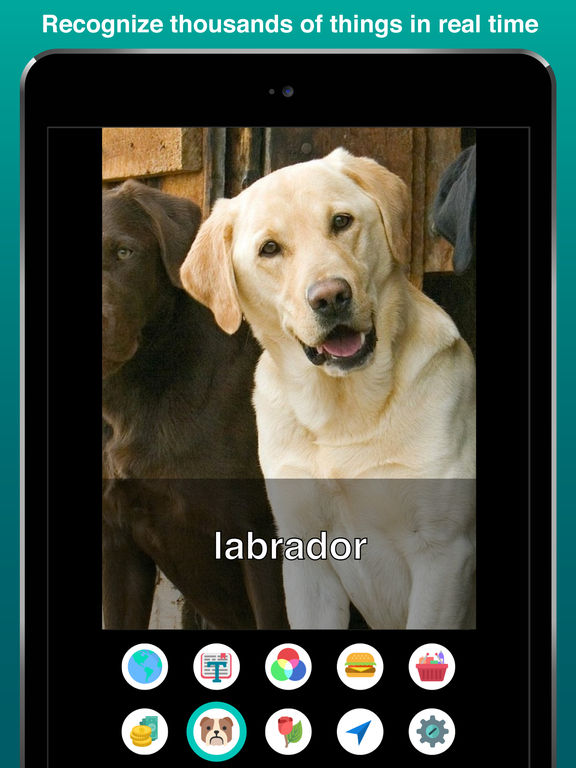 Aipoly Vision: Sight for Blind & Visually Impaired Tips, Cheats, Vidoes ...