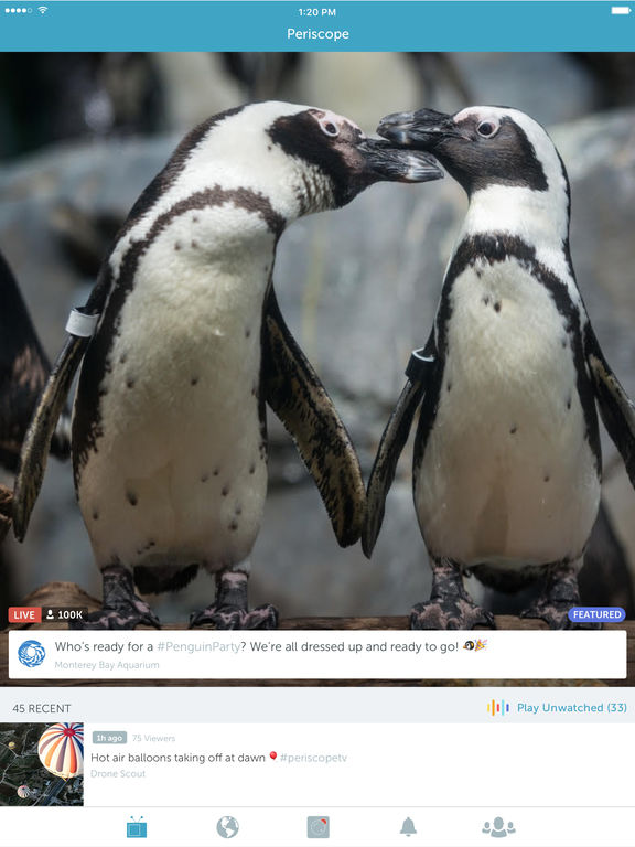 Top Periscope Live Streams Sort By Viewers Web Version